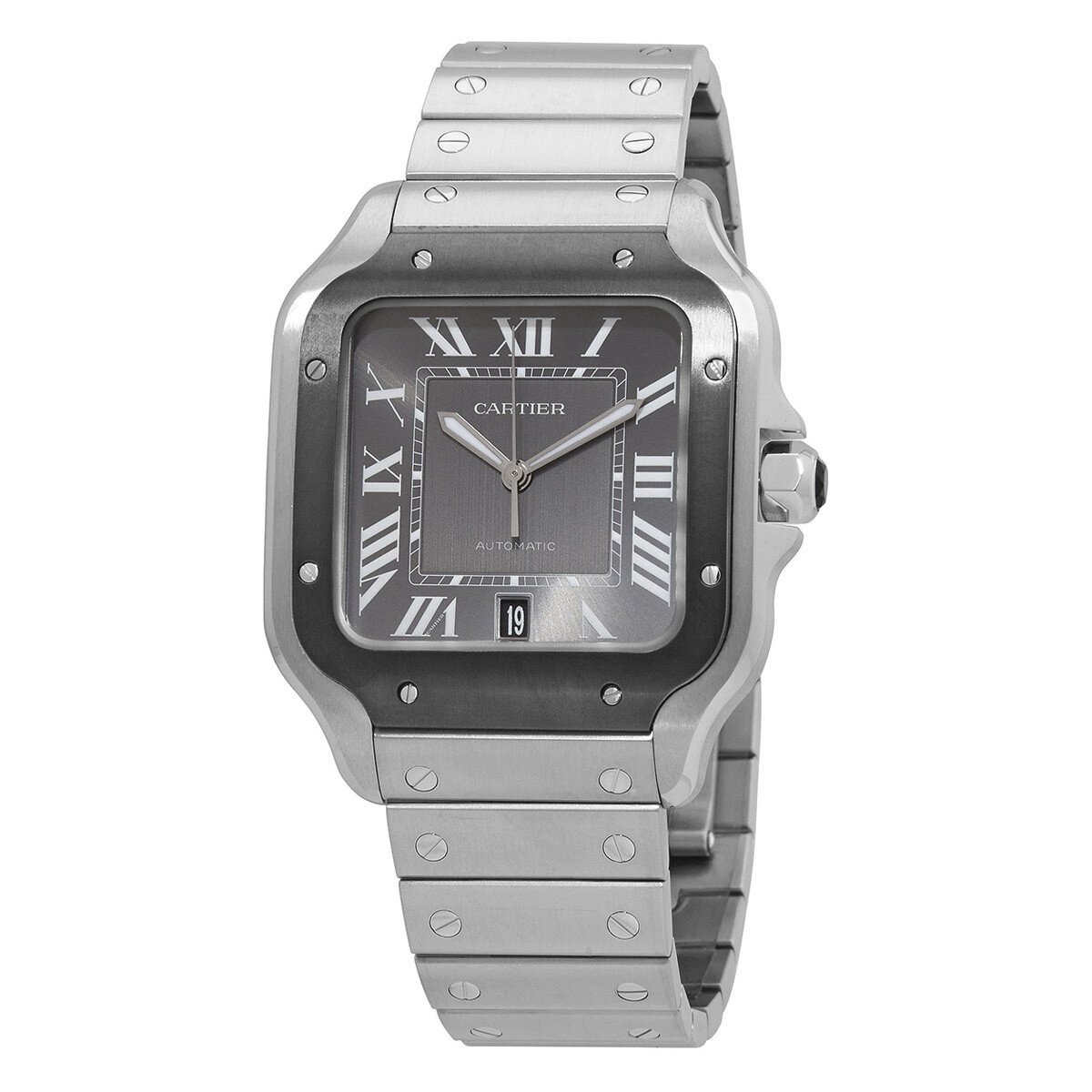 Cartier Santos Ref. WSSA0029 Price & Value ($6,522 Market Value) | Loupe